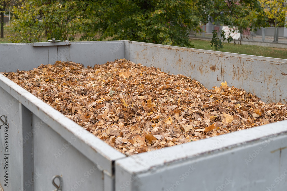 Dry Fallen leaves bio Organic waste in a huge container. Heap of ...
