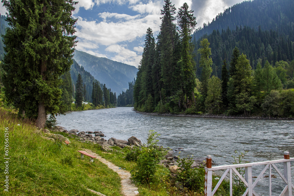 Picture of Mountain, Trees, River and Stream of adjoining areas of ...