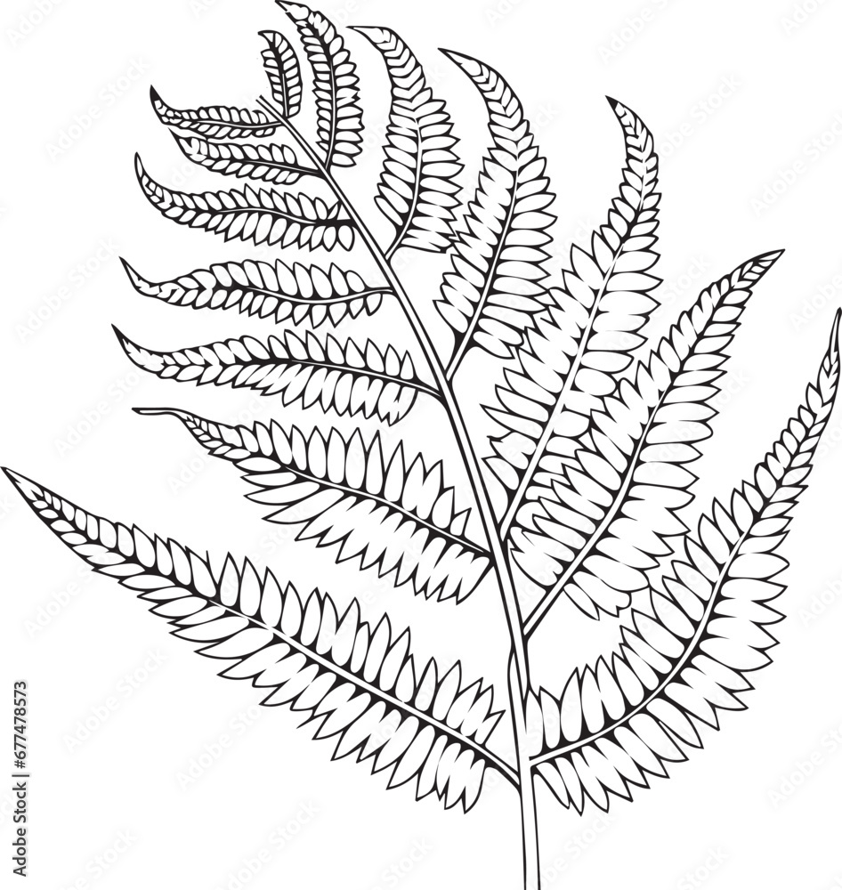 Fern leaves line art coloring page design Stock Vector | Adobe Stock