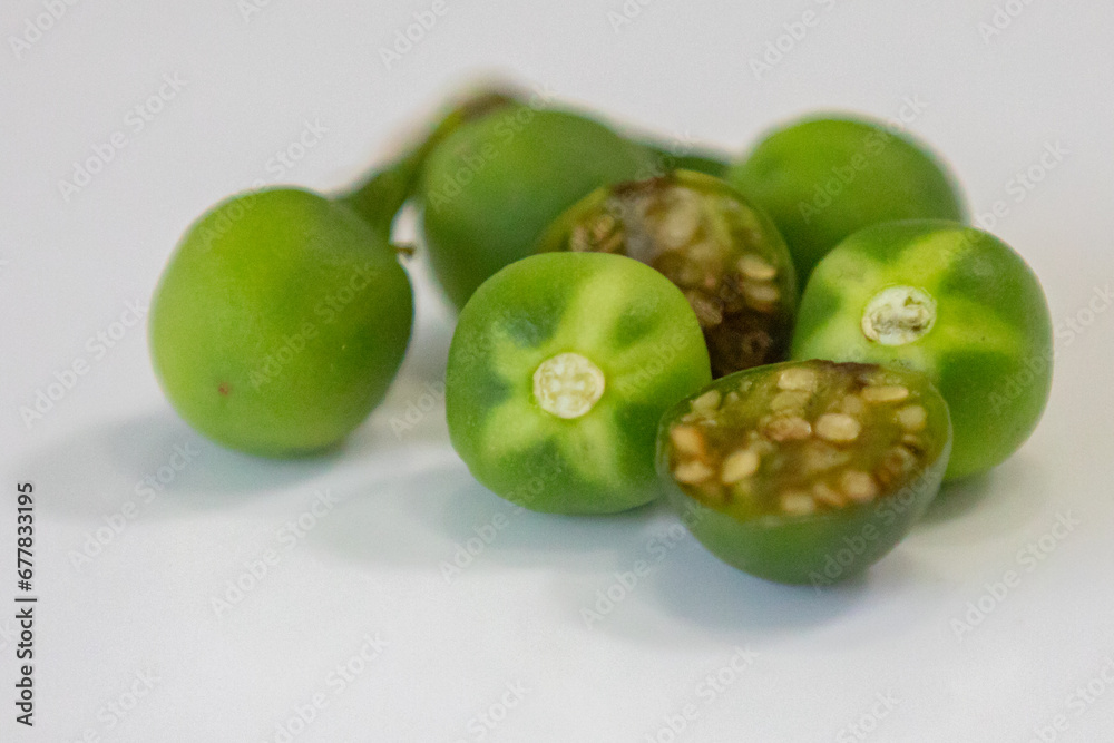 Macro photo of "Solanum torvum", also known as jurubeba, pendejera ...