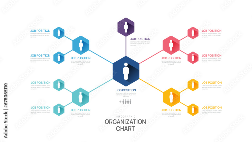 Infographic template for organization chart with business avatar icons ...