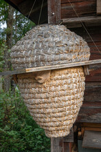 Old Straw Bee Hive Cutout Free Stock Photo - Public Domain Pictures