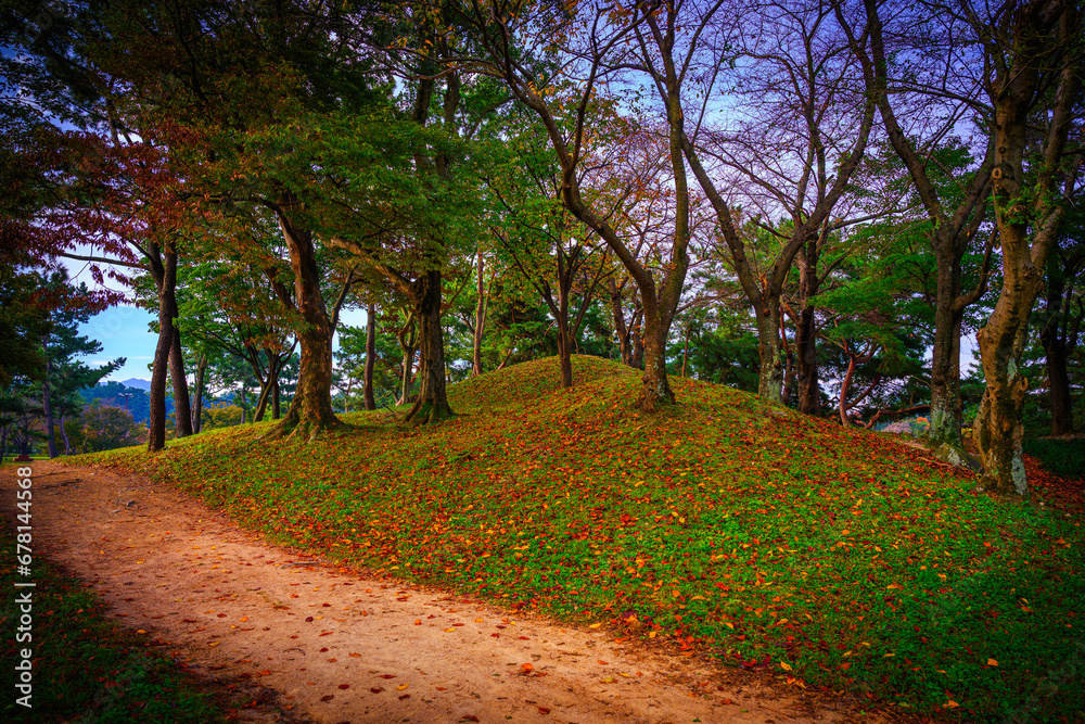 Green hill, pine trees, and curved dirt road at Donggung Palace, Wolji ...