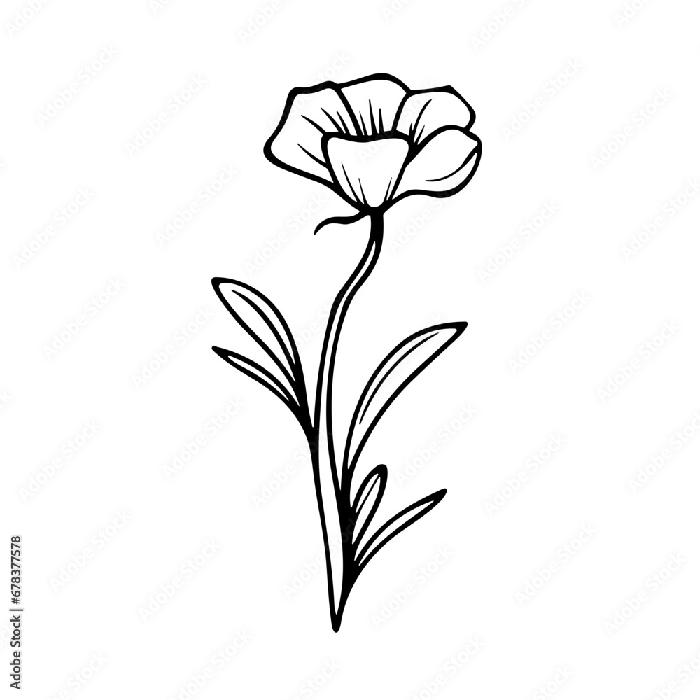 line drawing, line art png, line art prints, spring clipart, line art ...