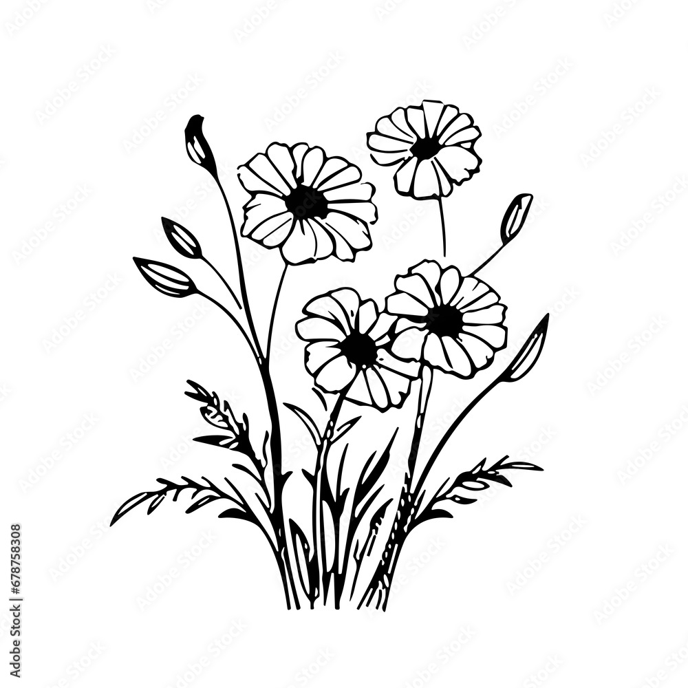 line drawing, line art png, line art prints, spring clipart, line art ...