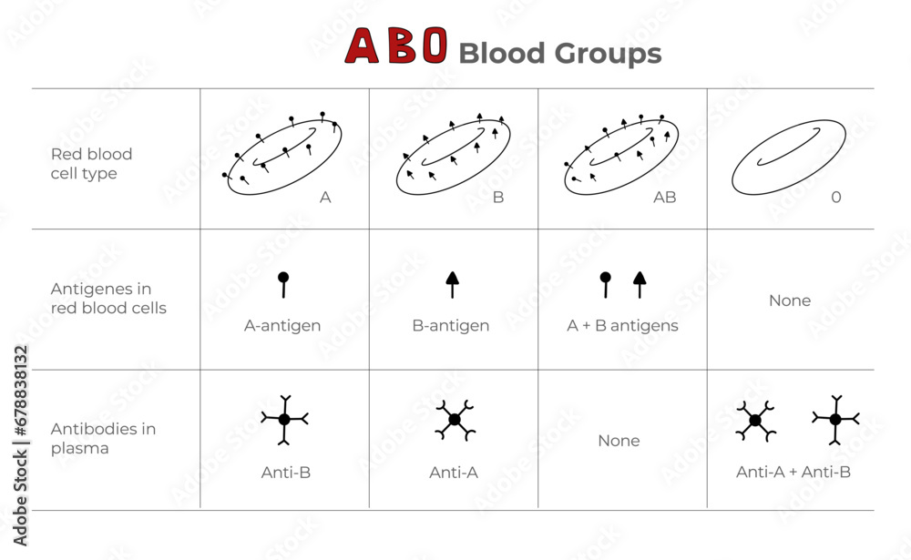 Blood groups, blood types, antigens and antibodies explanation in a ...