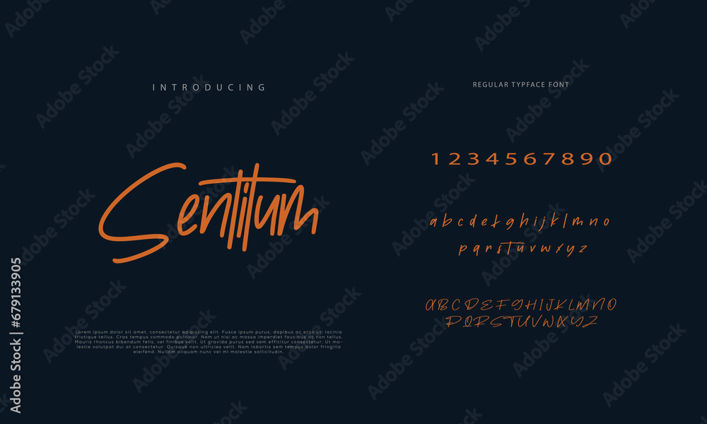 Handwritten Script font. Hand drawn brush style modern calligraphy ...