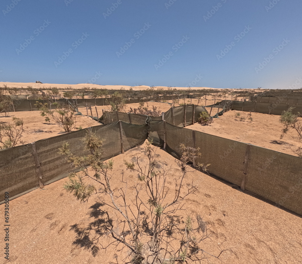 Sand dunes invading the land. Desertification due to climate change and ...