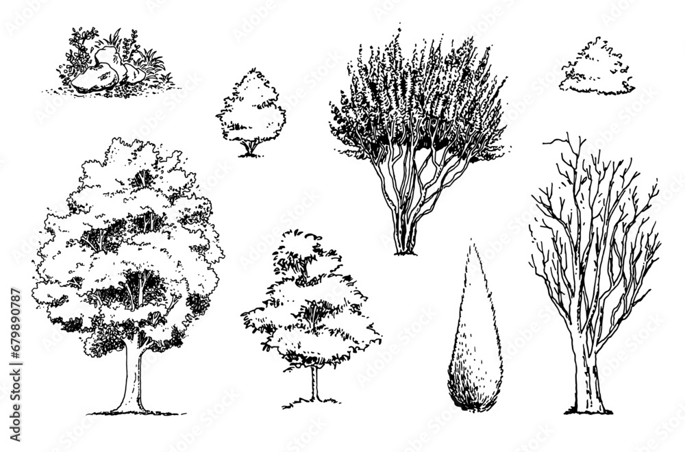 Minimal sketch style cad tree line drawing, Side view, set of graphics ...