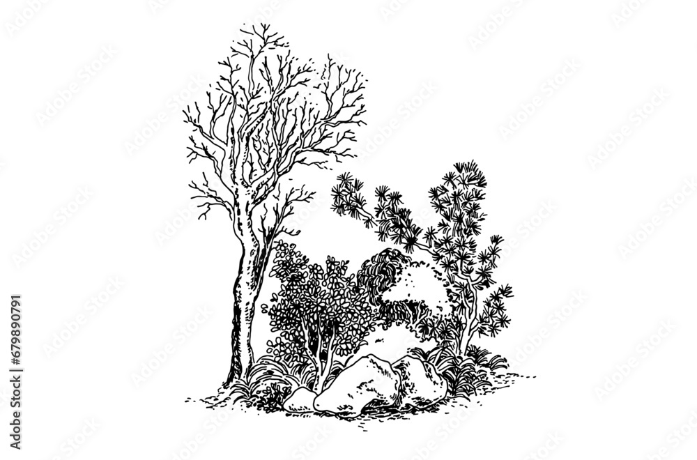 Minimal sketch style cad tree line drawing, Side view, set of graphics ...