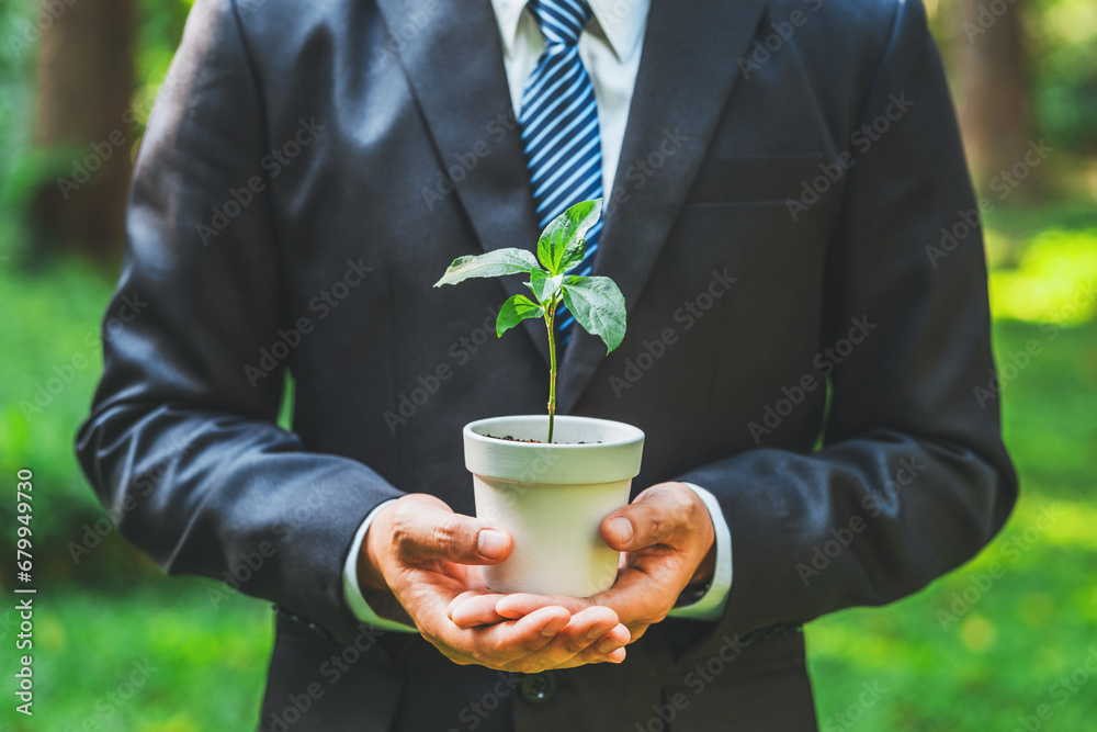 Environmental Collaboration in green business people conserve the green ...