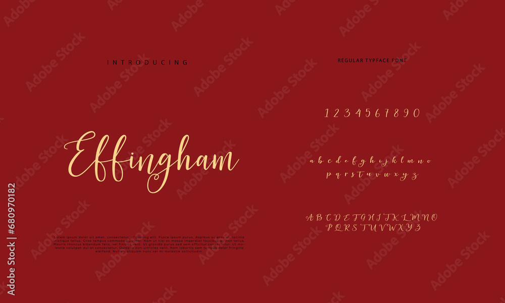 Handwritten Script Font Hand Drawn Brush Style Modern Calligraphy