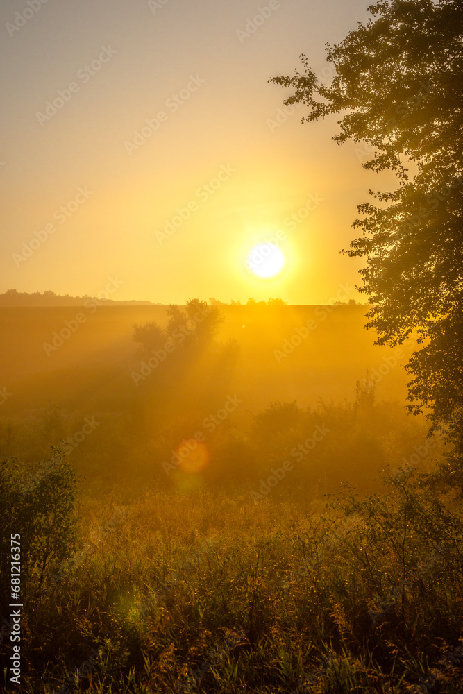 Golden sun rising . Summer morning . Landscape with sun and fog ...