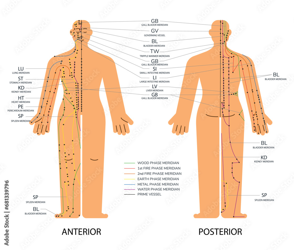 Body set front and back acupuncture scheme with points, Anterior and posterior meridians chart ...