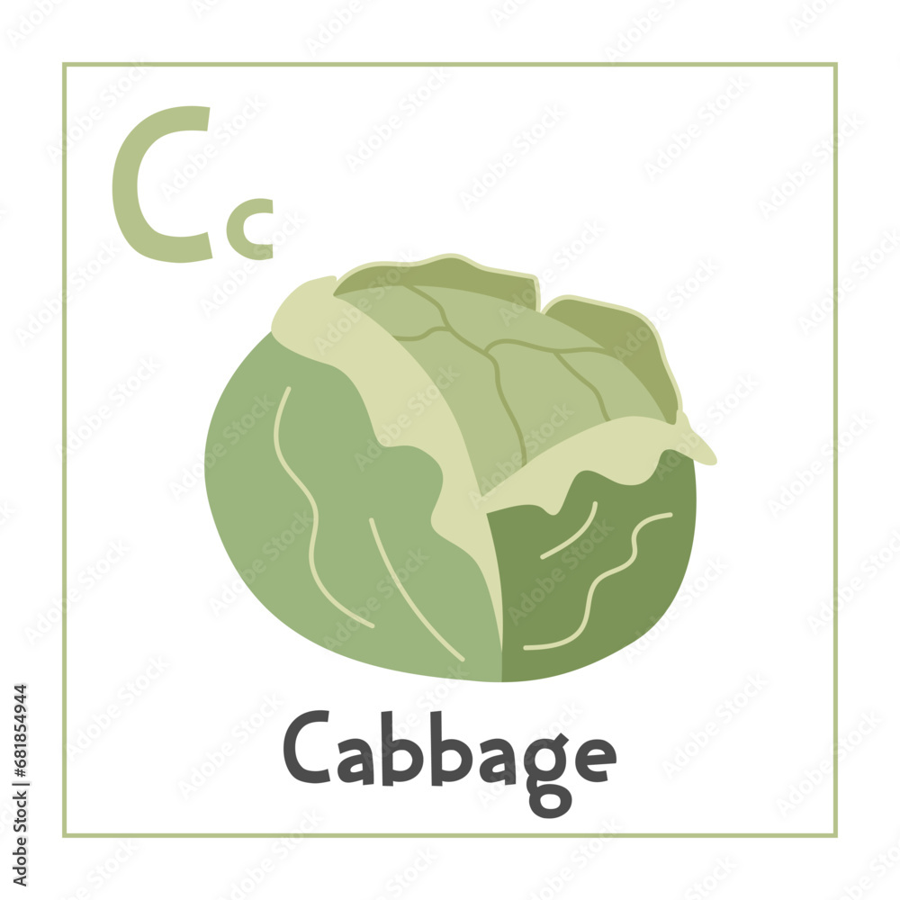 Cabbage clipart. Cabbage vector illustration cartoon flat style ...
