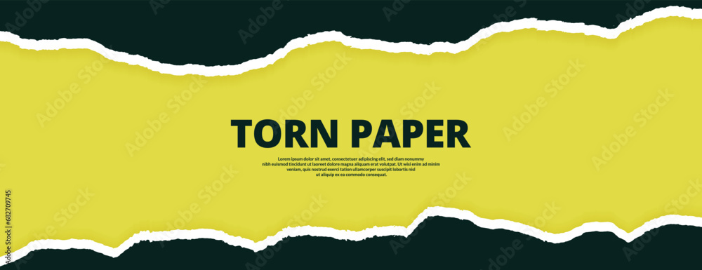 Torn ripped paper two layers Wattle color background banner blank ...
