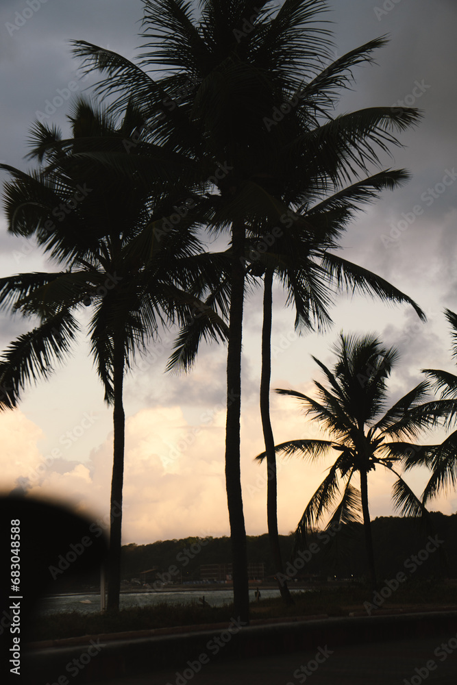 beachfront in brazil with coconut tree, car and cycling track (orla da ...