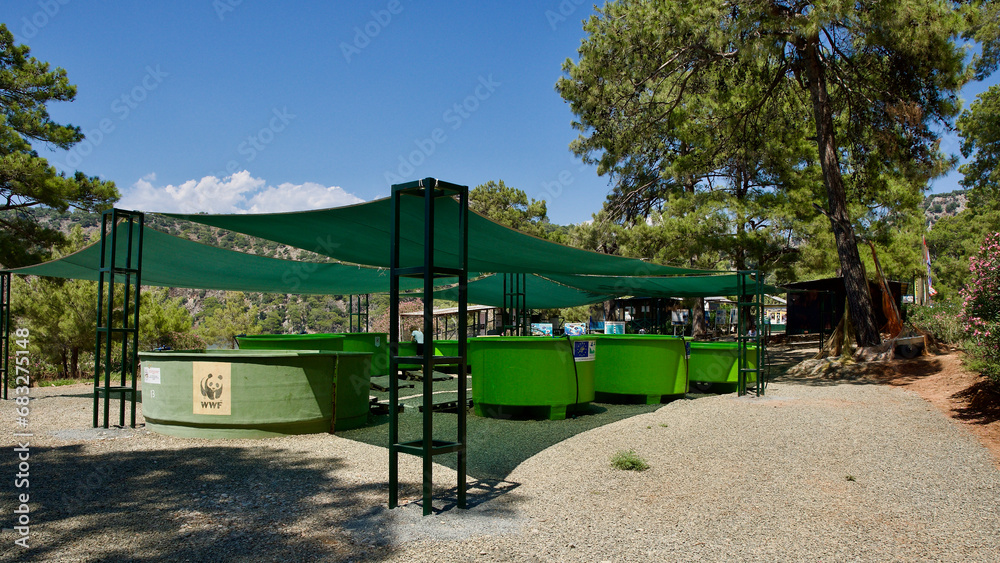 DALYAN, TURKEY - 07 15, 2023: Treatment center for injured caretta ...