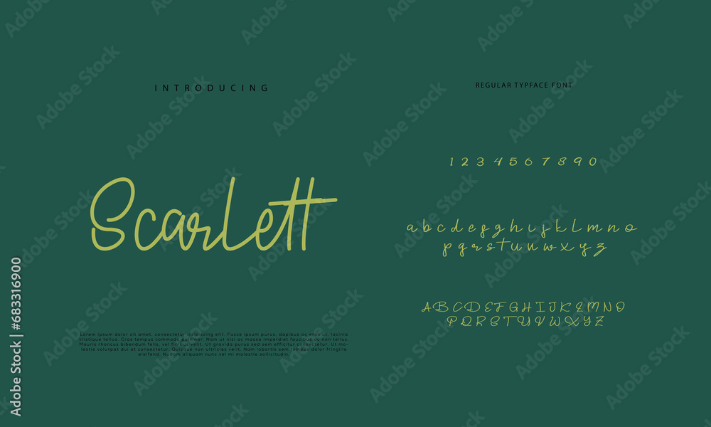 Handwritten Script font. Hand drawn brush style modern calligraphy ...