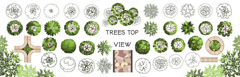 Tree for architectural floor plans. Entourage design. Various trees, bushes, and shrubs, top ...
