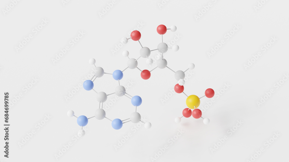 Adenosine Monophosphate Molecule 3d Molecular Structure Ball And Stick Model Structural