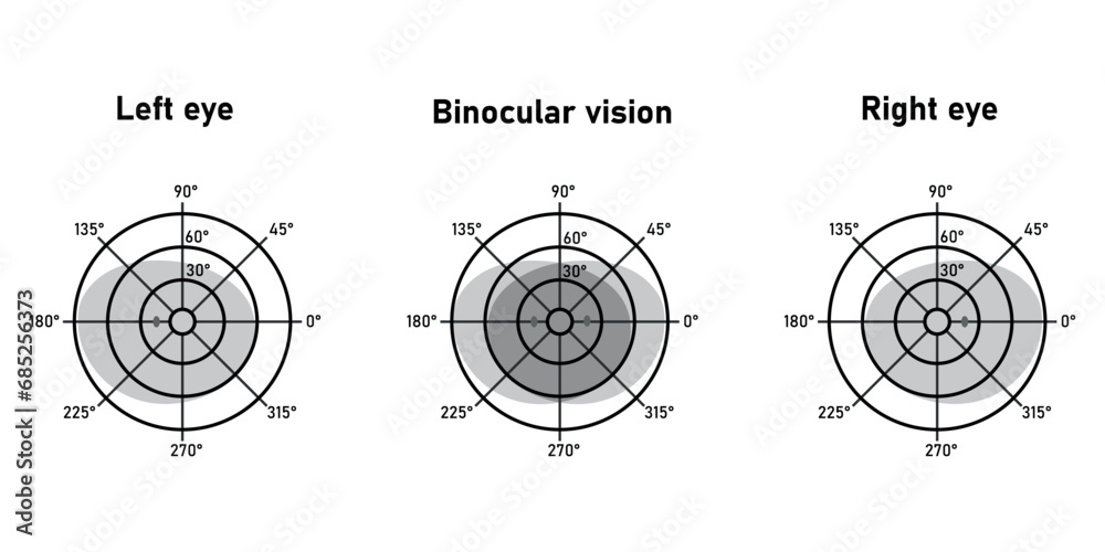 The visual field of the left and right eye. Binocular fusion and depth ...