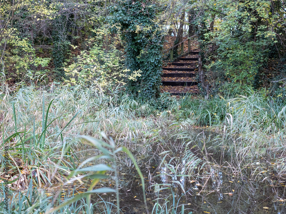 Pathway through Camley Street Natural Park, Kings Cross, St Pancras ...