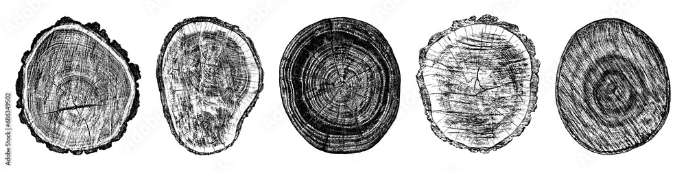 Tree wood texture on white background. Section tree rings cut slice ...