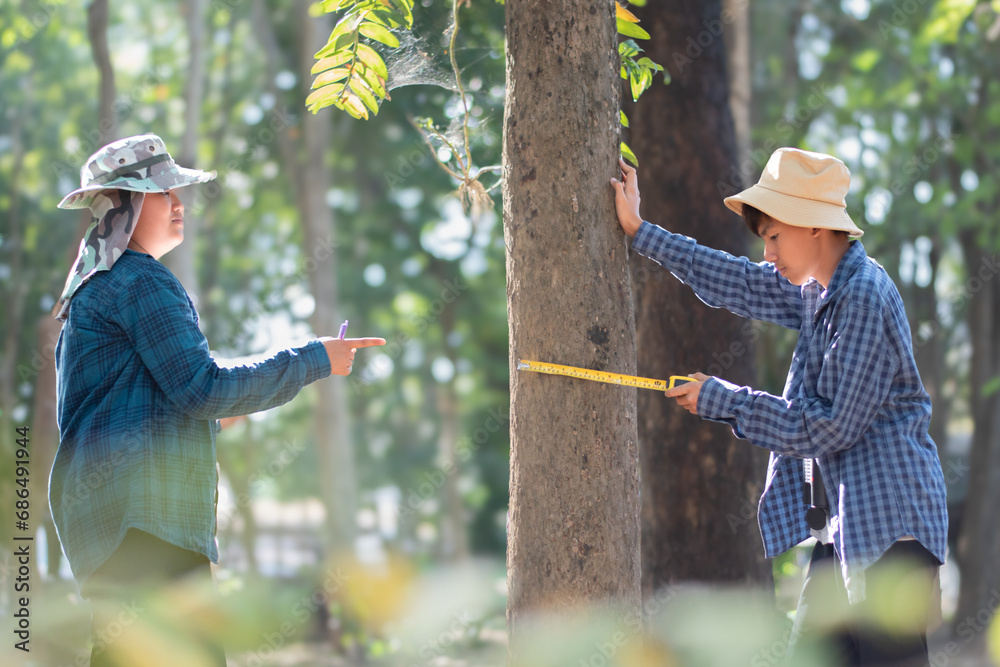 Young asian schoolboy measuring a size of tree trunk with a measuring ...