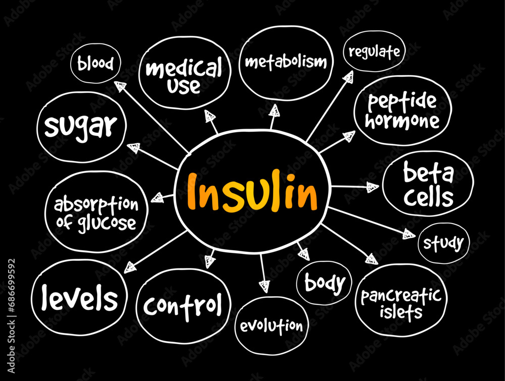 Insulin is a peptide hormone produced by beta cells of the pancreatic ...