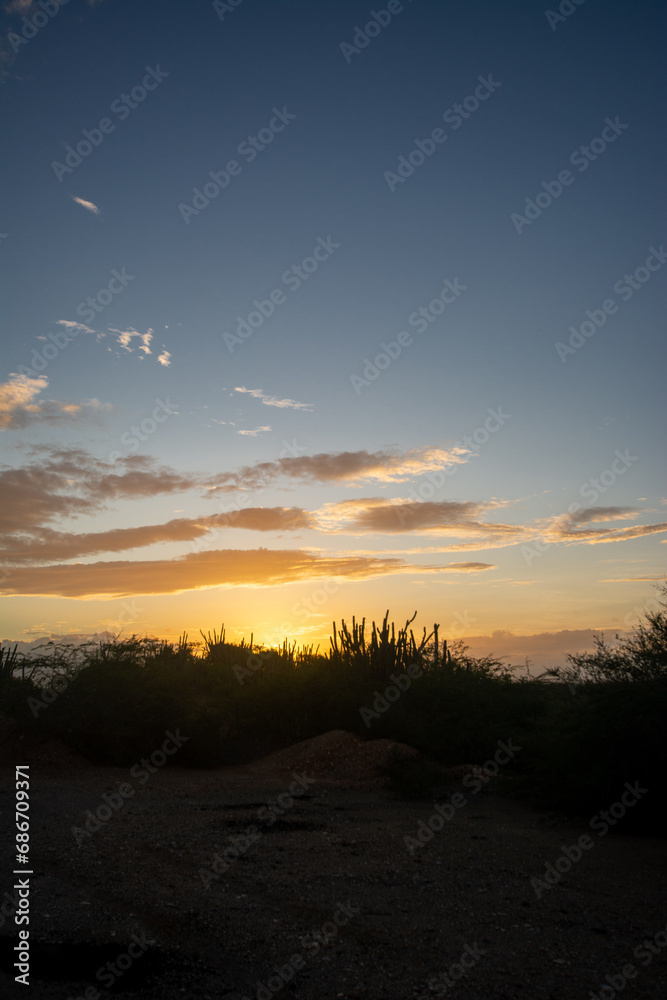 Sunrise in the desert. Tour of a desert island, full of xeric ...