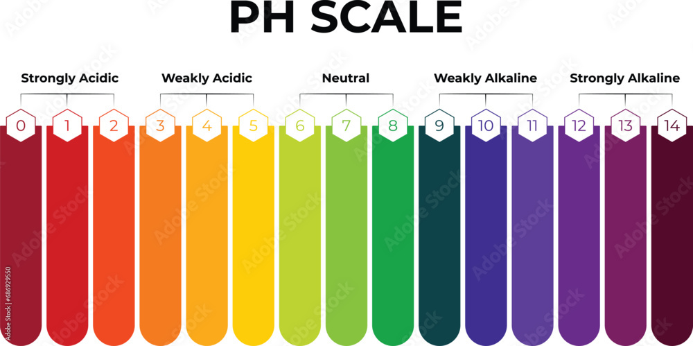 PH Scale Science Design Vector Illustration Stock Vector | Adobe Stock