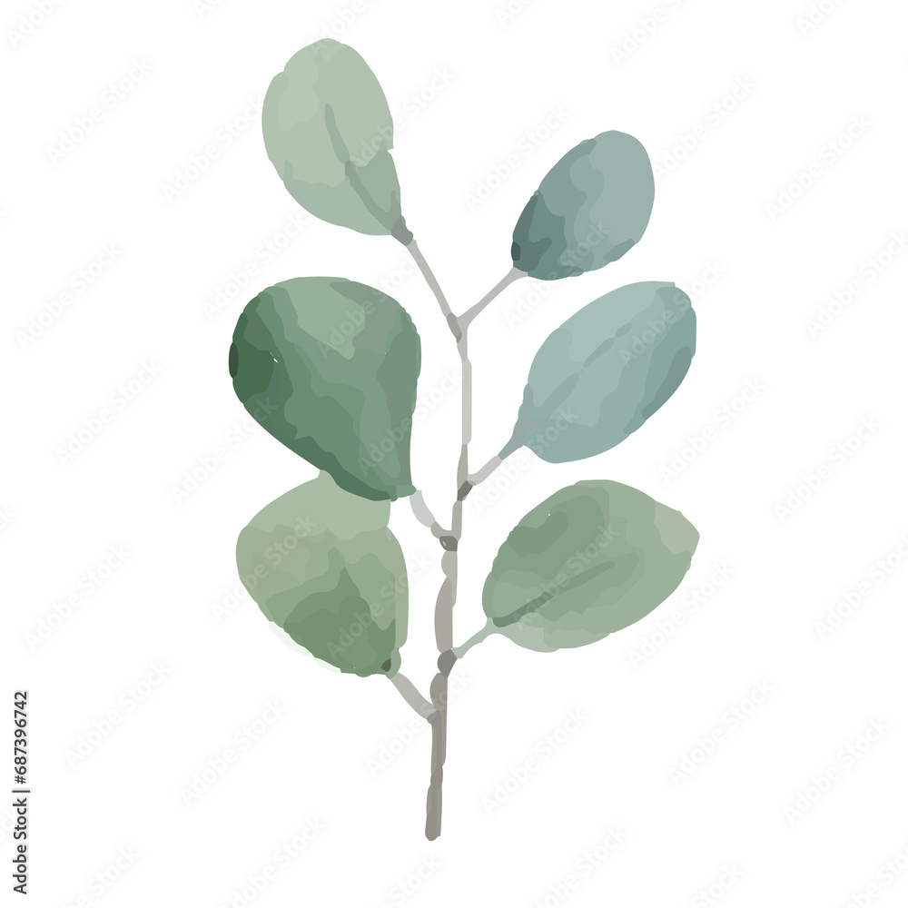 Watercolor Eucalyptus clipart, Eucalyptus leaves, Eucalyptus branches ...