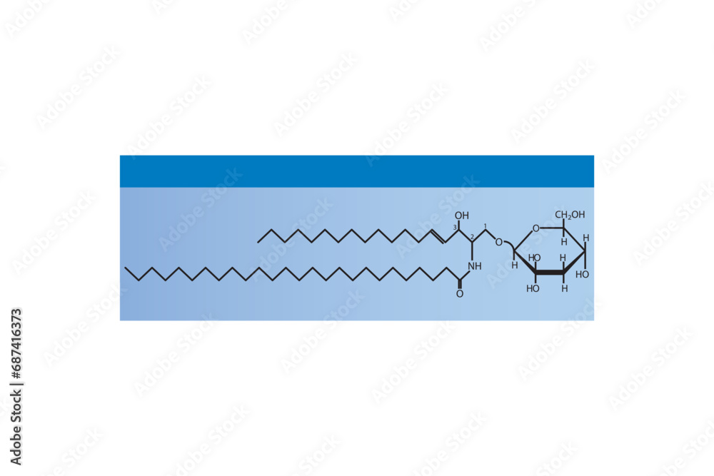 Diagram showing schematic molecular structure of Neutral glycolipid ... Diagram showing schematic molecular structure of Neutral glycolipid ...