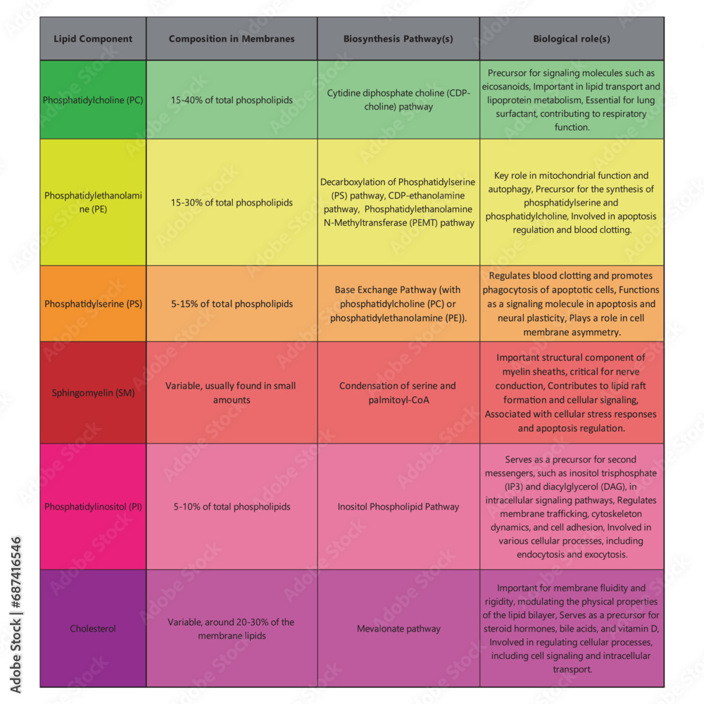 Table showing Phospholipids types, membrane composition, biosynthesis ...