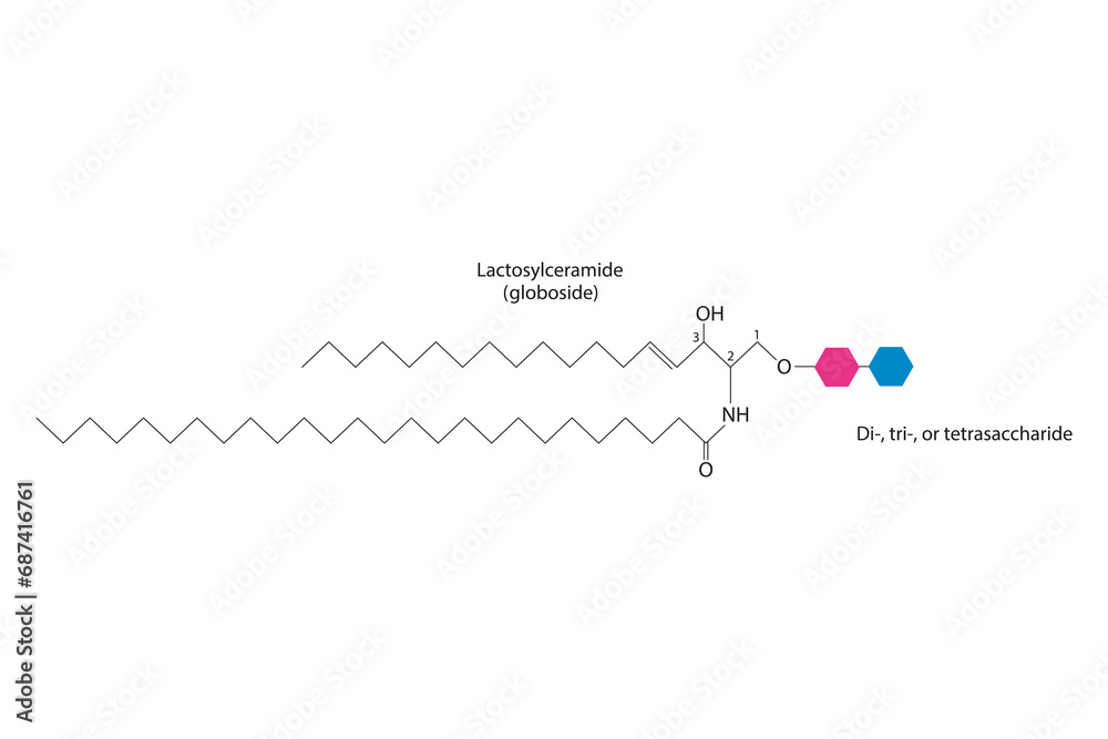 Diagram showing schematic molecular structure of Lacosylceramide ...