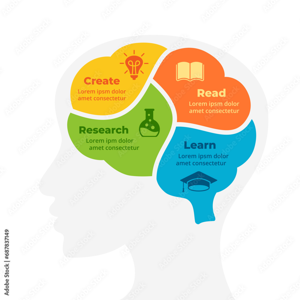 Stock-Vektorgrafik „Brain Anatomy Infographic. Human Head Face ...