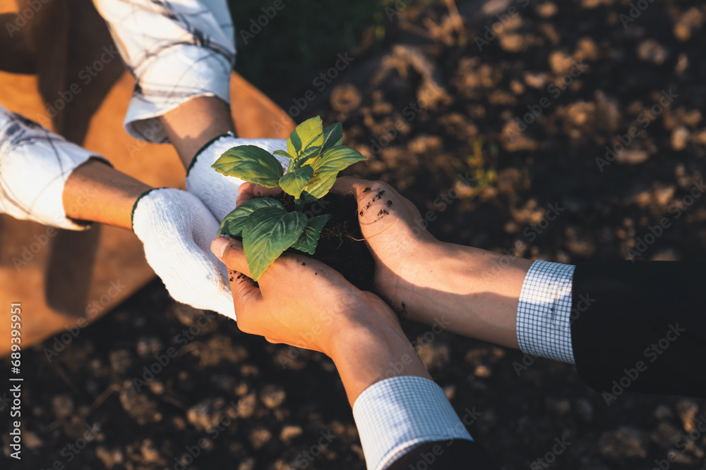 Eco-business company empower farmer with eco-friendly farming practice ...