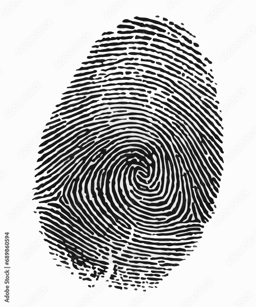 Fingerprint identity verification concept, biometric, security ...