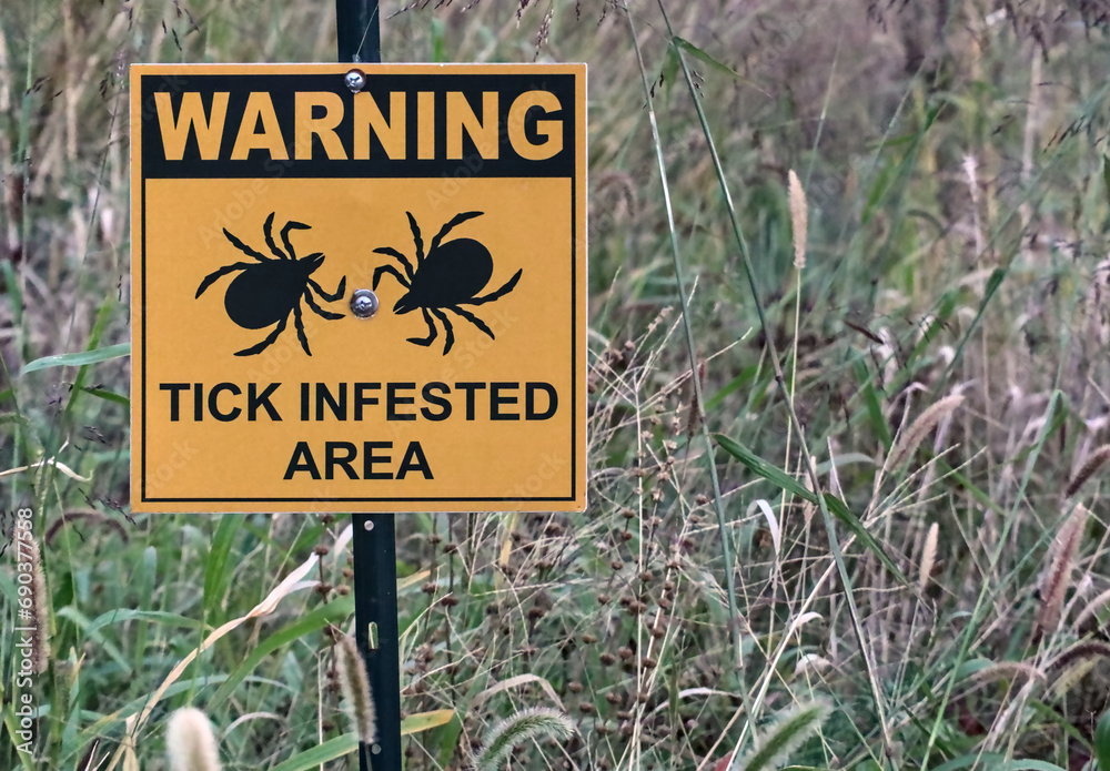 warning tick infested area sign in a grassy field, public park (lyme ...