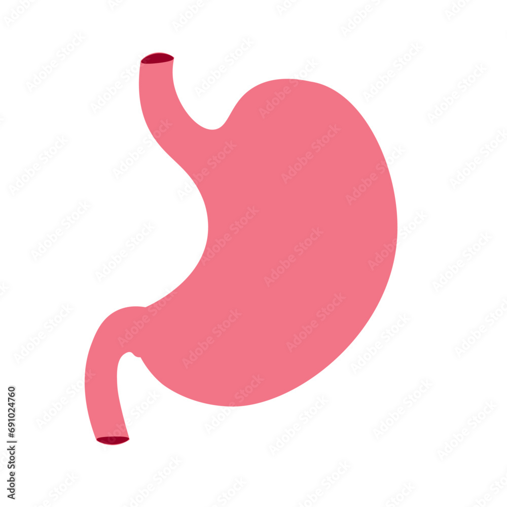 Stomach icon. Human internal organs symbol. Digestive system anatomy ...