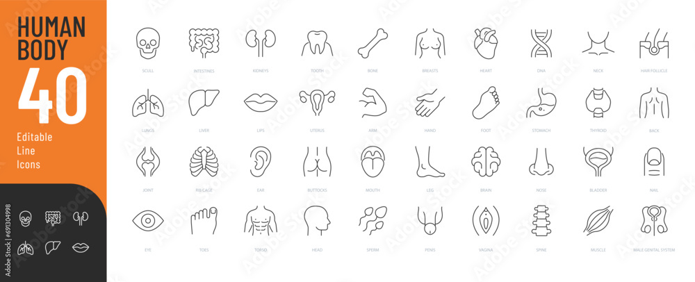 Human Body Line Editable Icons set. Vector illustration in modern thin ...