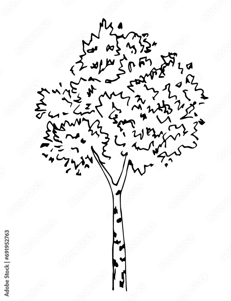 Deciduous tree isolated on white background. Simple black outline ...