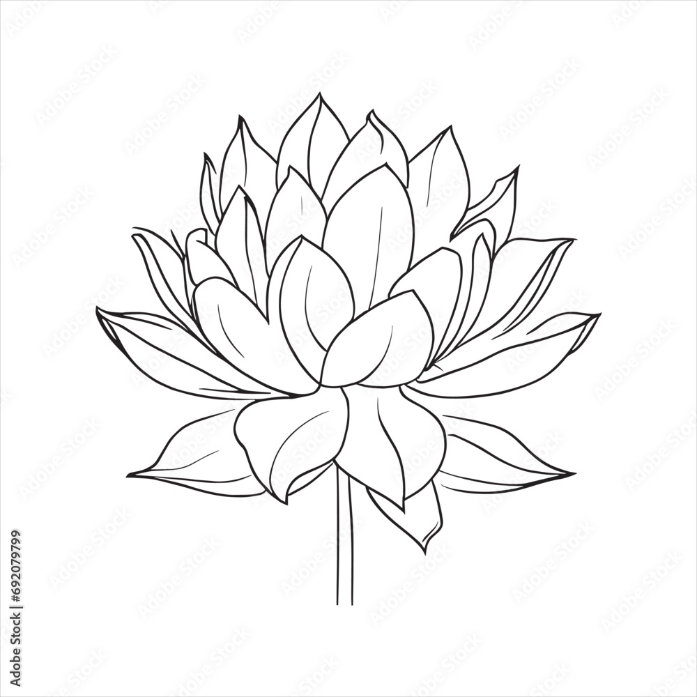 Lotus flower line art with drawings isolated on a white background ...