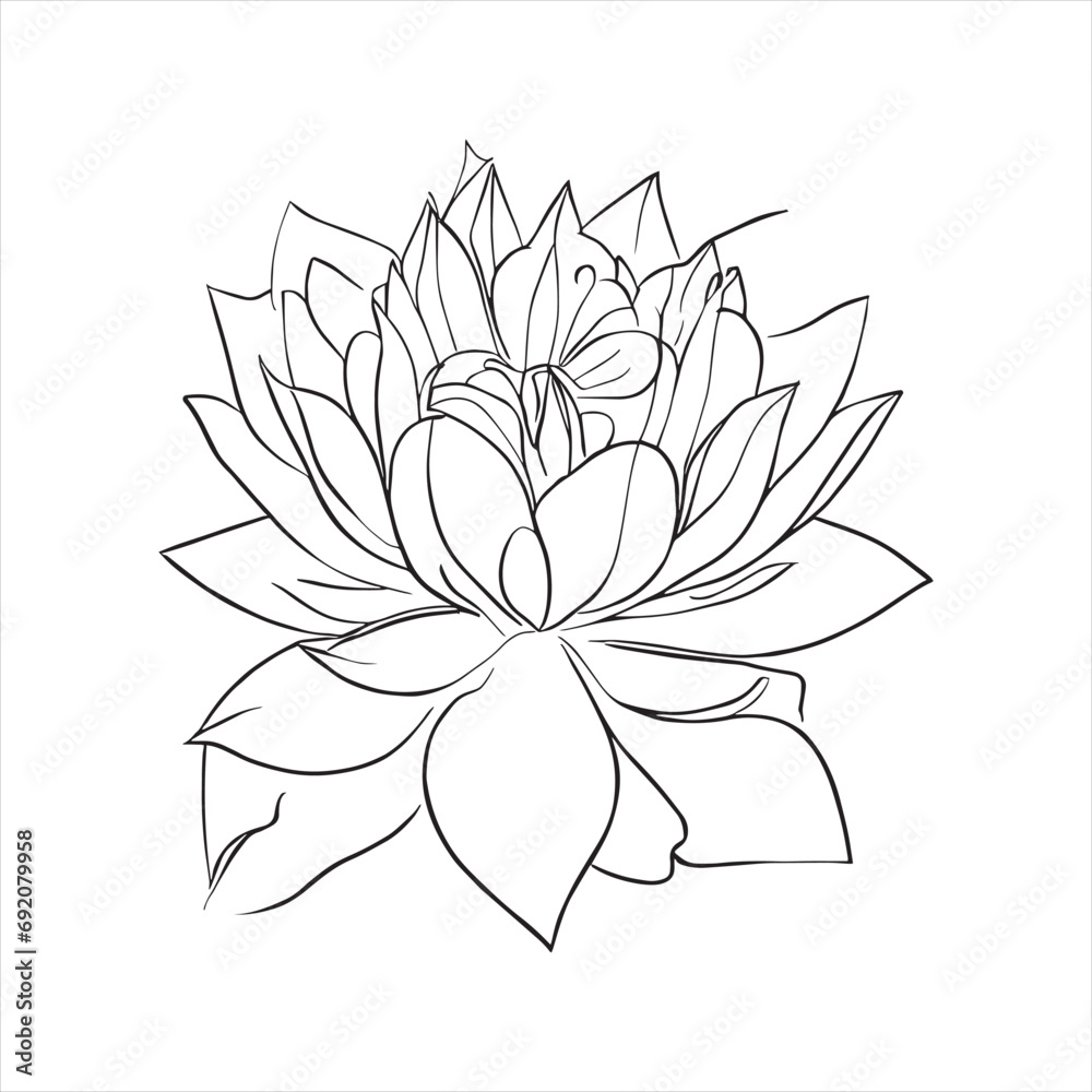 Lotus flower line art with drawings isolated on a white background ...