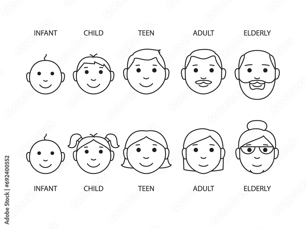 The stages of a human's growing up - infant, child, teen, adult ...