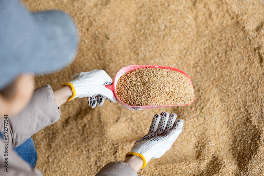 Confident woman owner of dairy farm checking quality of soybean husk ...