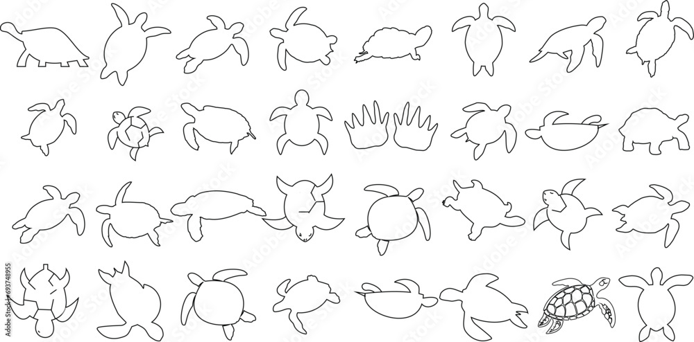 Vector turtle outlines, minimalist black line art on white background ...