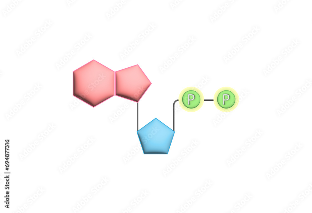 Adenosine Diphosphate (ADP). Adenine, Ribose and phosphate. Energy ...