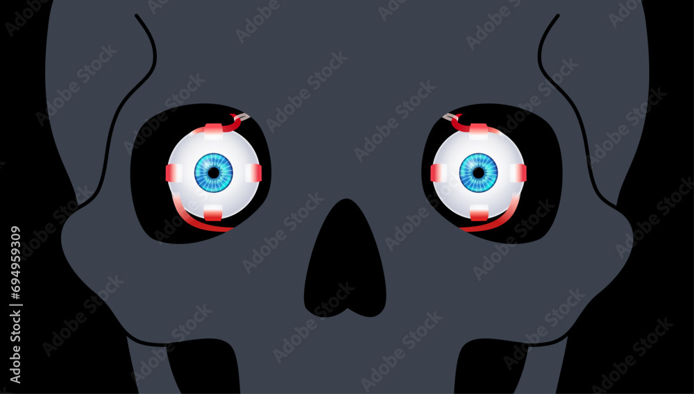 Extraocular muscles anatomy Stock Vector | Adobe Stock